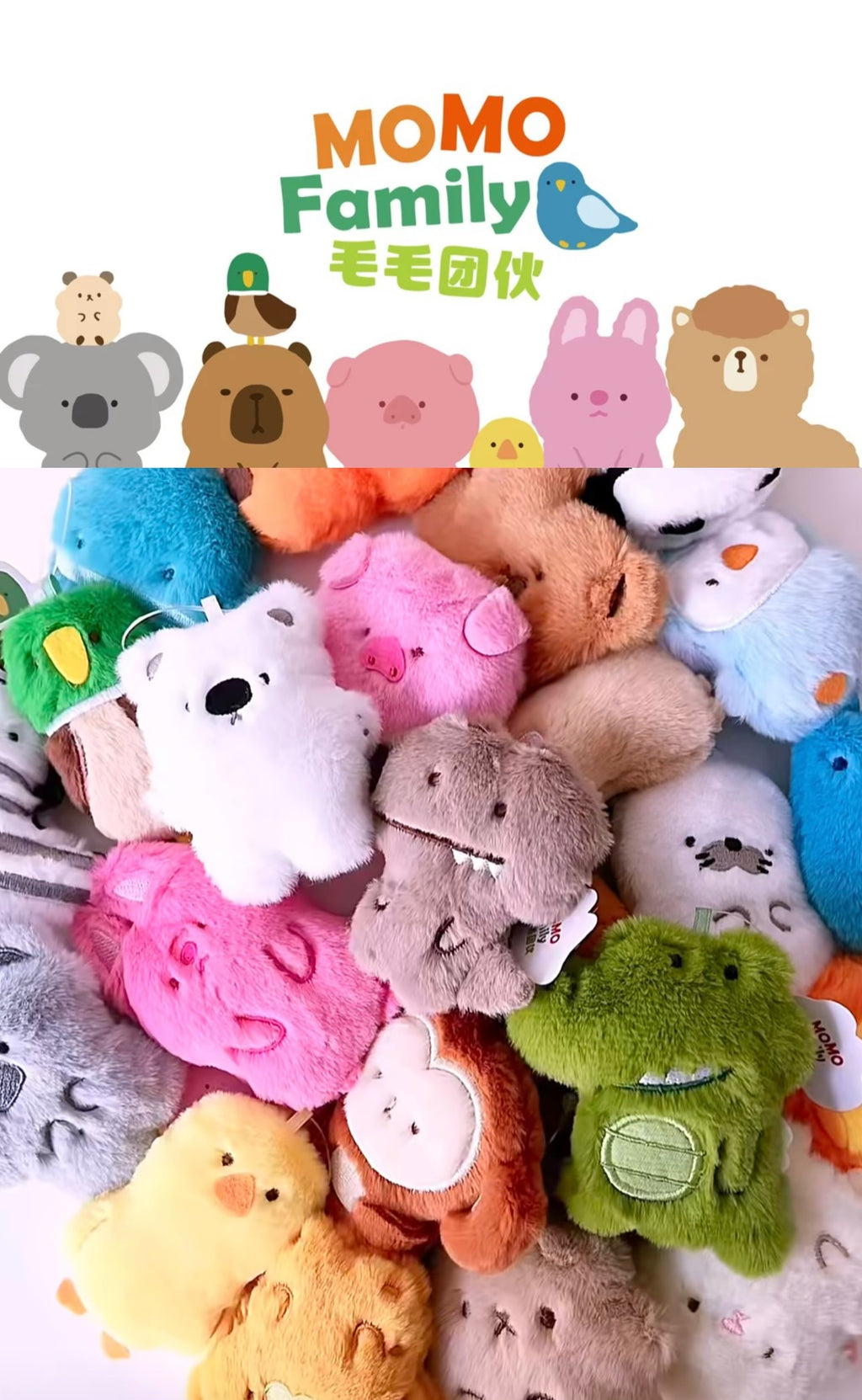 Momo Family Mini Plushie Magnetic Hanger Blind Bag Series – ToyDonutShop