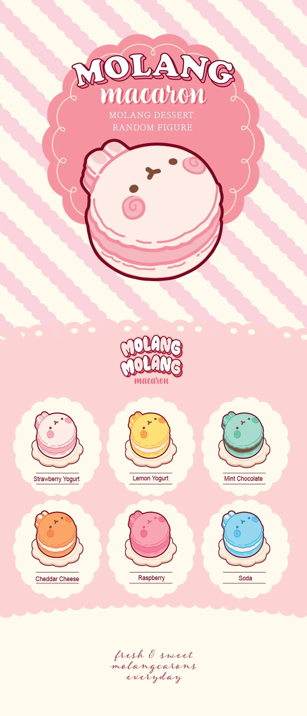 Malang Macaroon Blind Box Series – ToyDonutShop